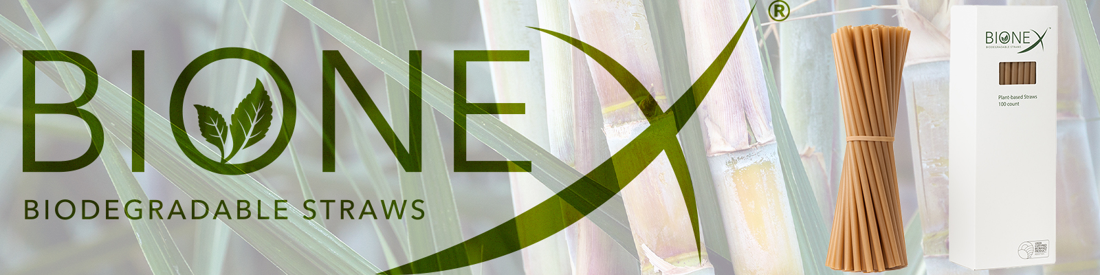 Bionex - Plant Based Drink Straws